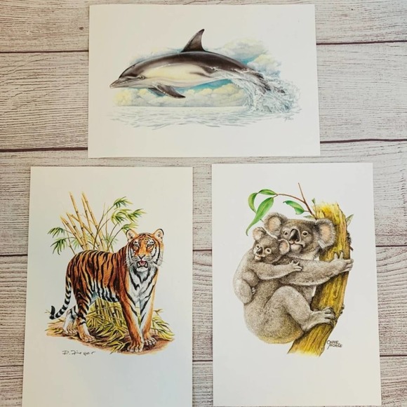 Animal Library | Wall Decor | Animal Print Wall Art Set Of 3 Koala ...